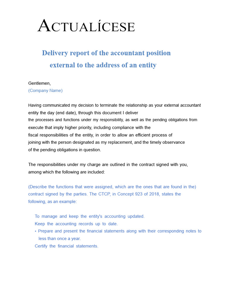 VA21 Report Delivery of External Accountant Position | PDF | Accounting ...