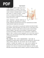Anatomia da Região Inguinal e Canal Inguinal | PDF | Testículo | Anatomia