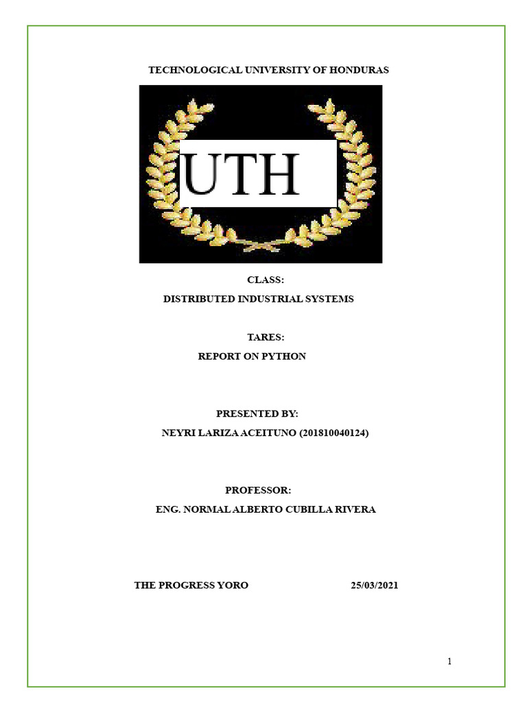 Assignment (Report On Python) | PDF | Python (Programming Language) | Programming Language