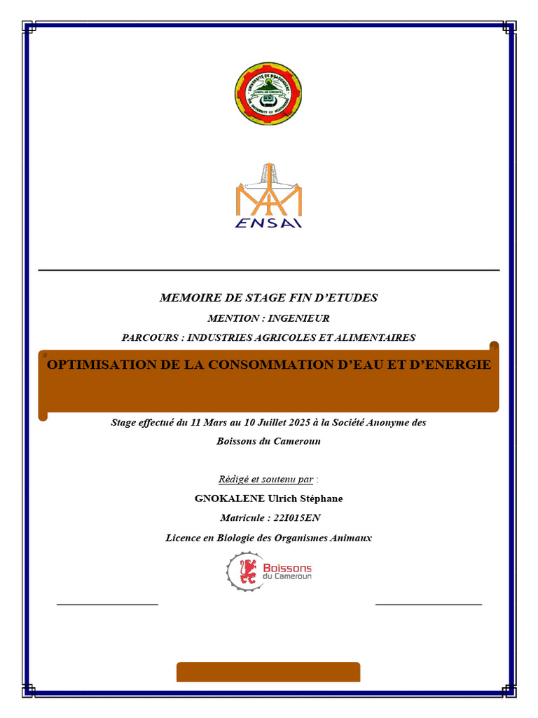 Mémoire de Fin D'étude GNOKALENE Ulrich Stéphane SABC | PDF | Bière | Boisson