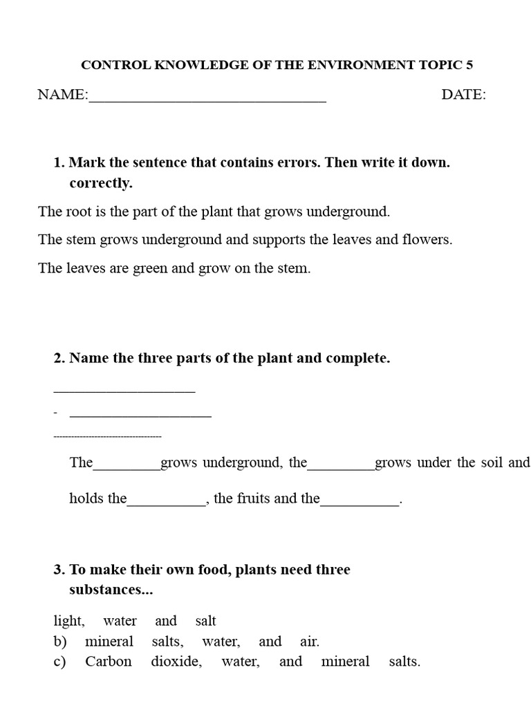 Plant Structure and Functions Quiz | PDF