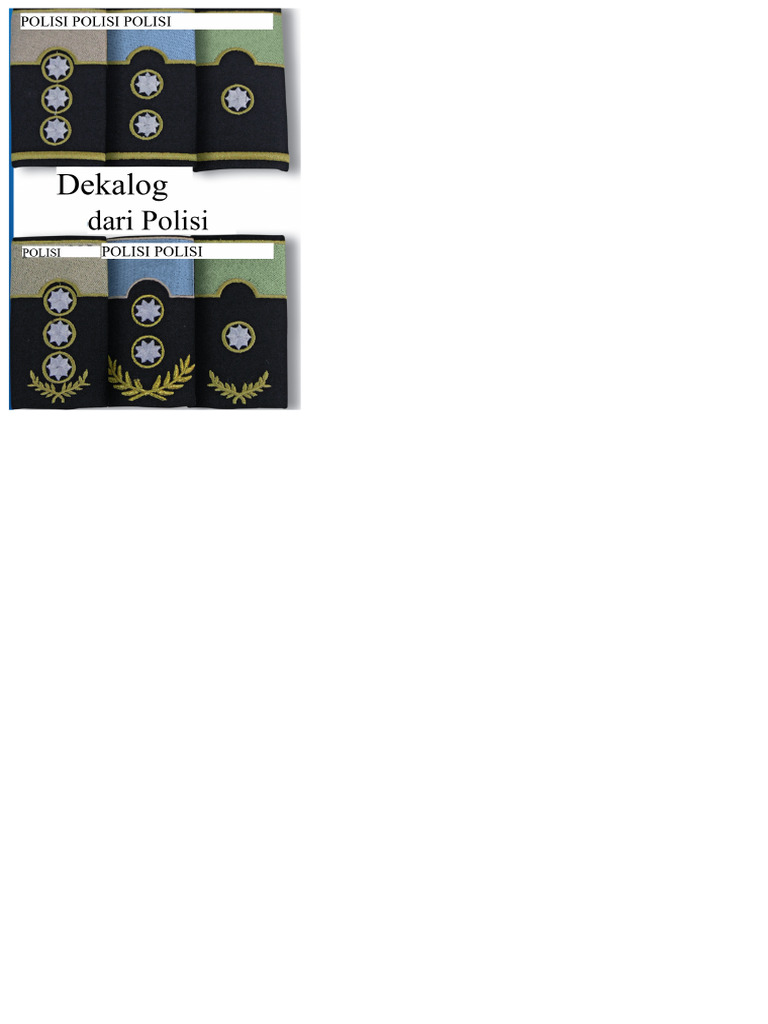 Dekalog Polisi | PDF