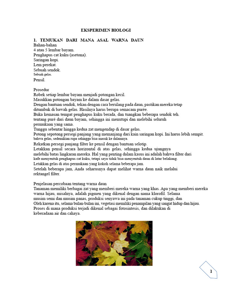 Eksperimen Biologi: Warna Daun dan Rasa | PDF