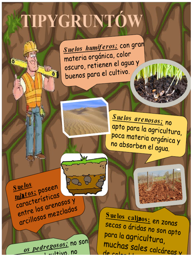 INFOGRAFIKA RODZAJE GLEB Nowa | PDF