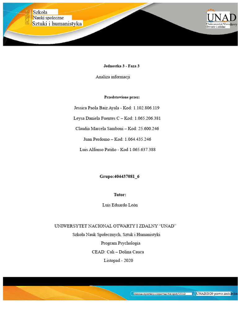 Faza 3 - Format Raportu Grupowego | PDF