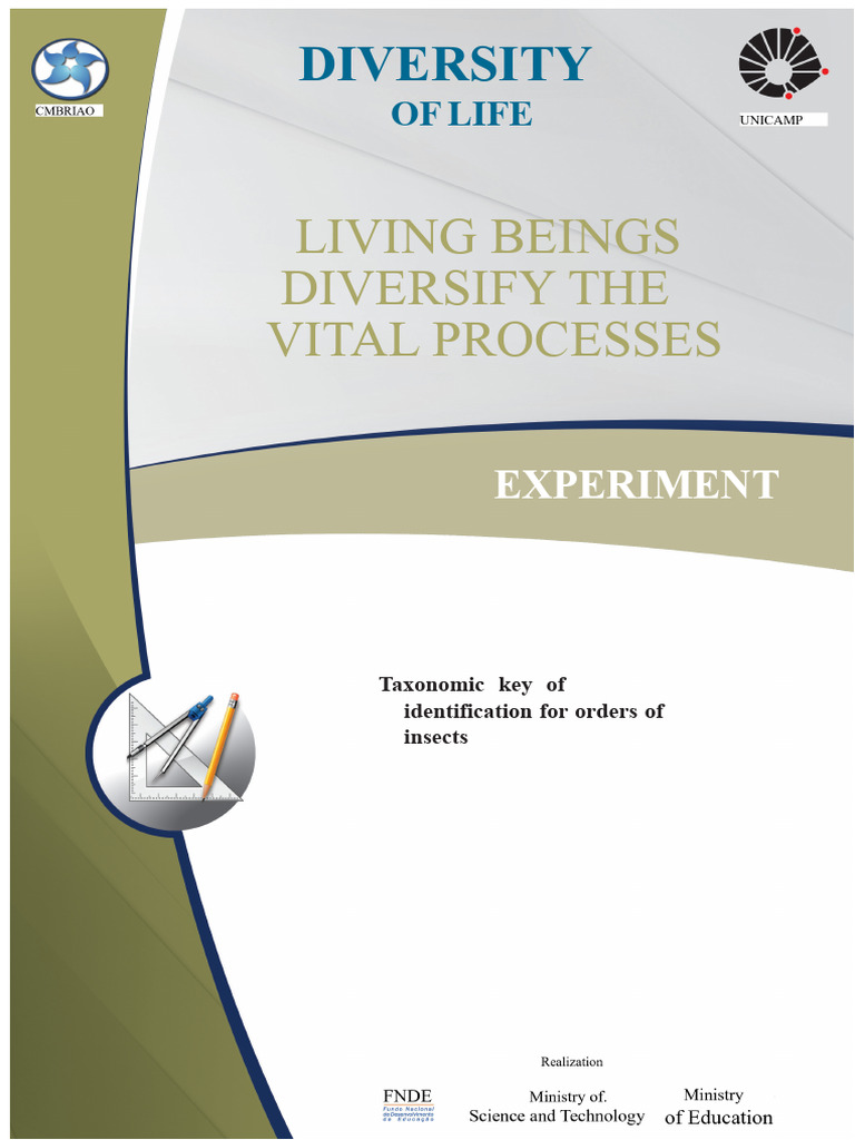 Taxonomic Identification Key For The Order of Insects PDF | PDF ...