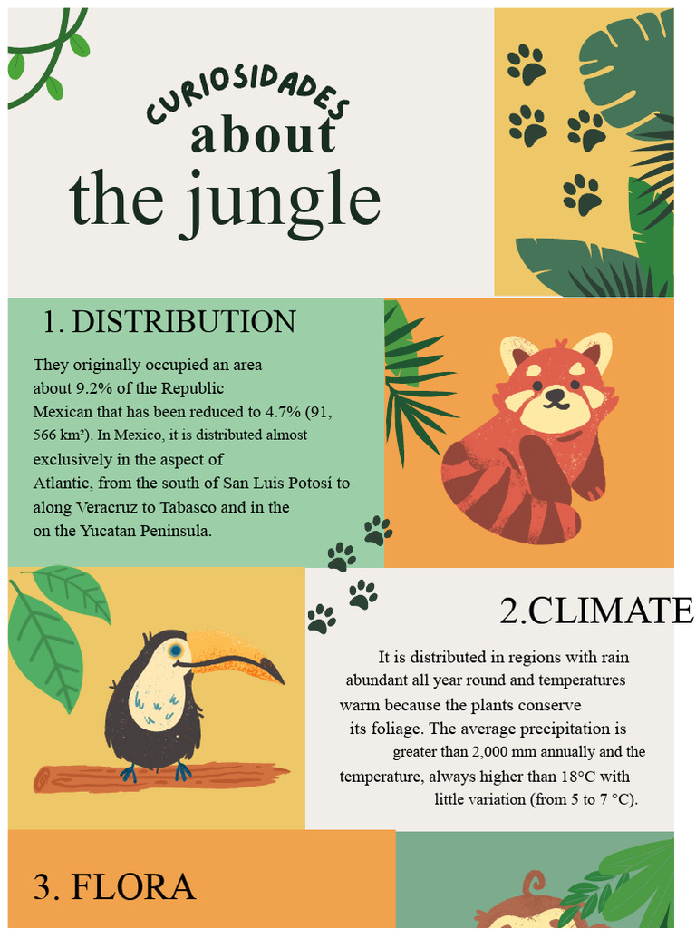 Infographic of The Jungle | PDF
