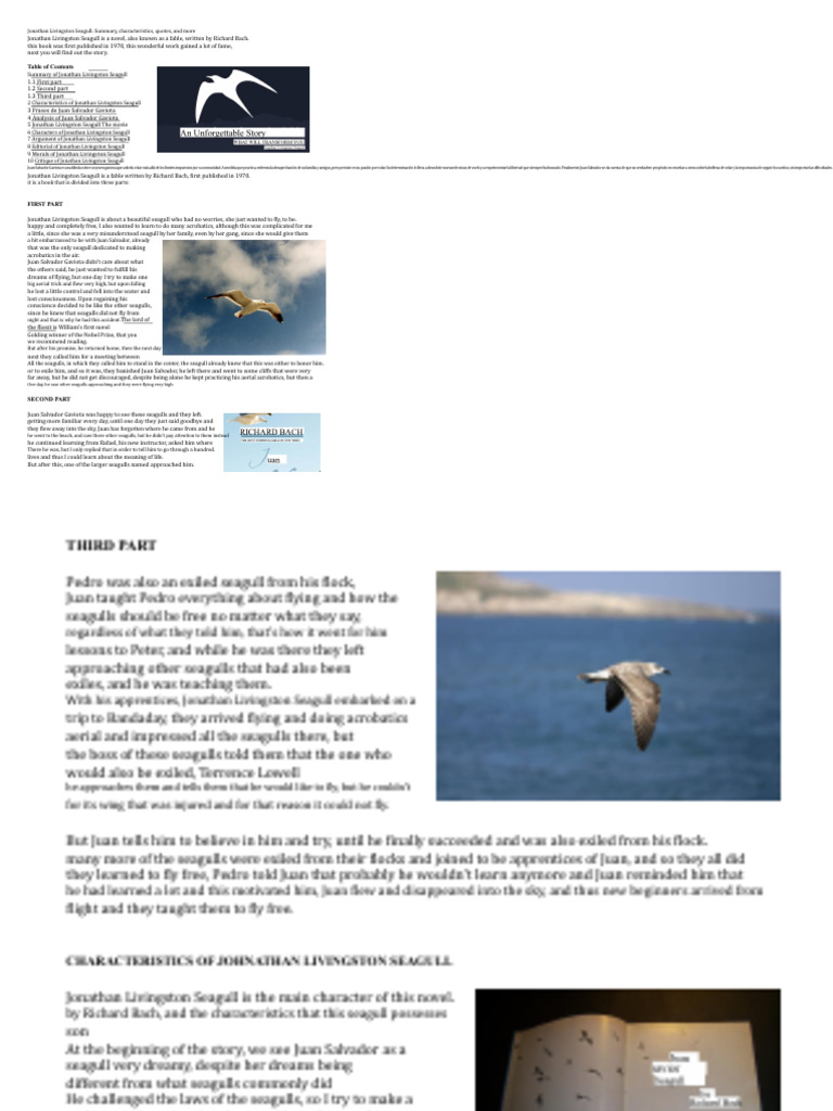Jonathan Livingston Seagull Overview | PDF