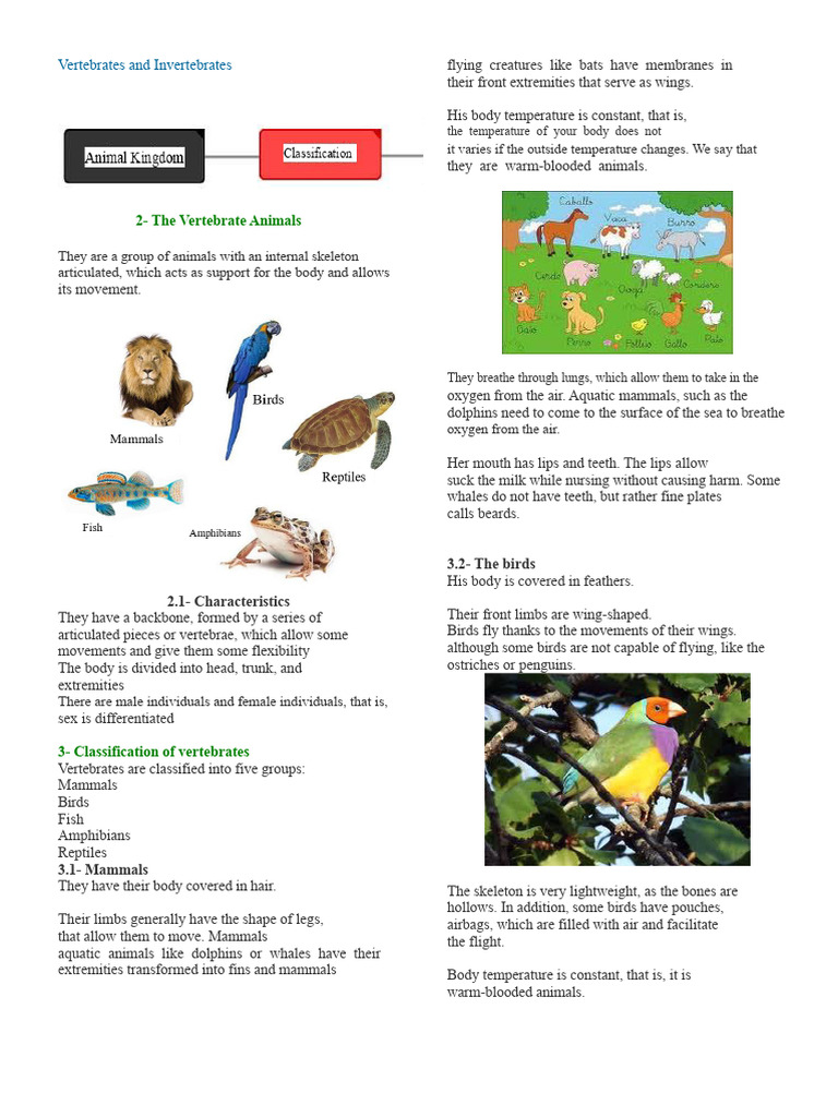 Vertebrates and Invertebrates | PDF | Skeleton | Invertebrate