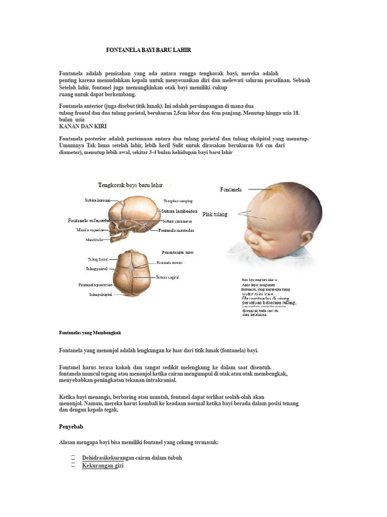 Fontanel Bayi Baru Lahir | PDF