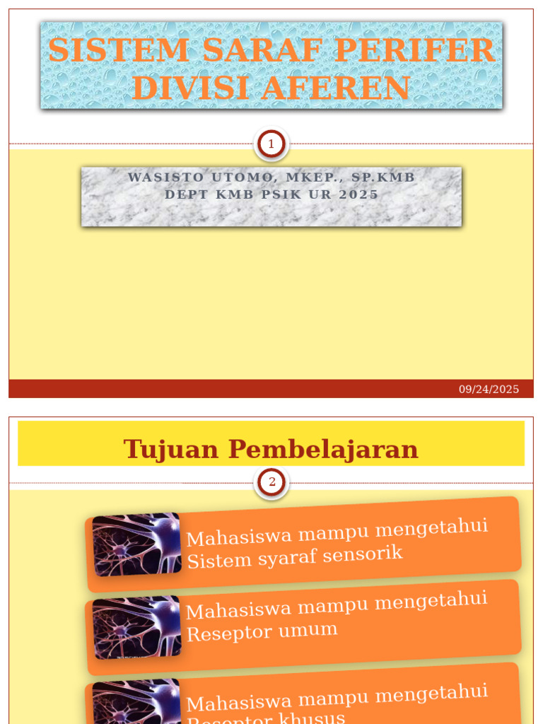 Sistem Saraf Perifer dan Reseptor Sensorik | PDF
