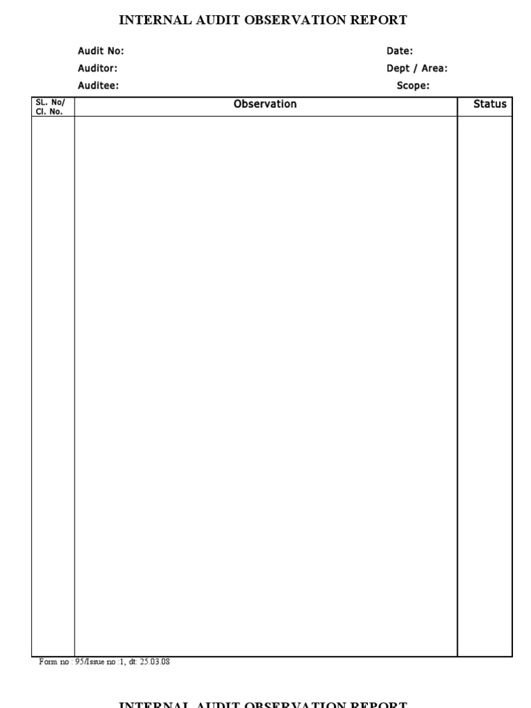 Internal Audit Observation Report | PDF | Finance & Money Management