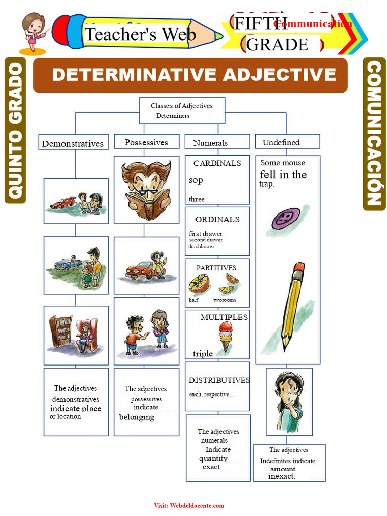 The Determinative Adjective For Fifth Grade of Primary School | PDF ...
