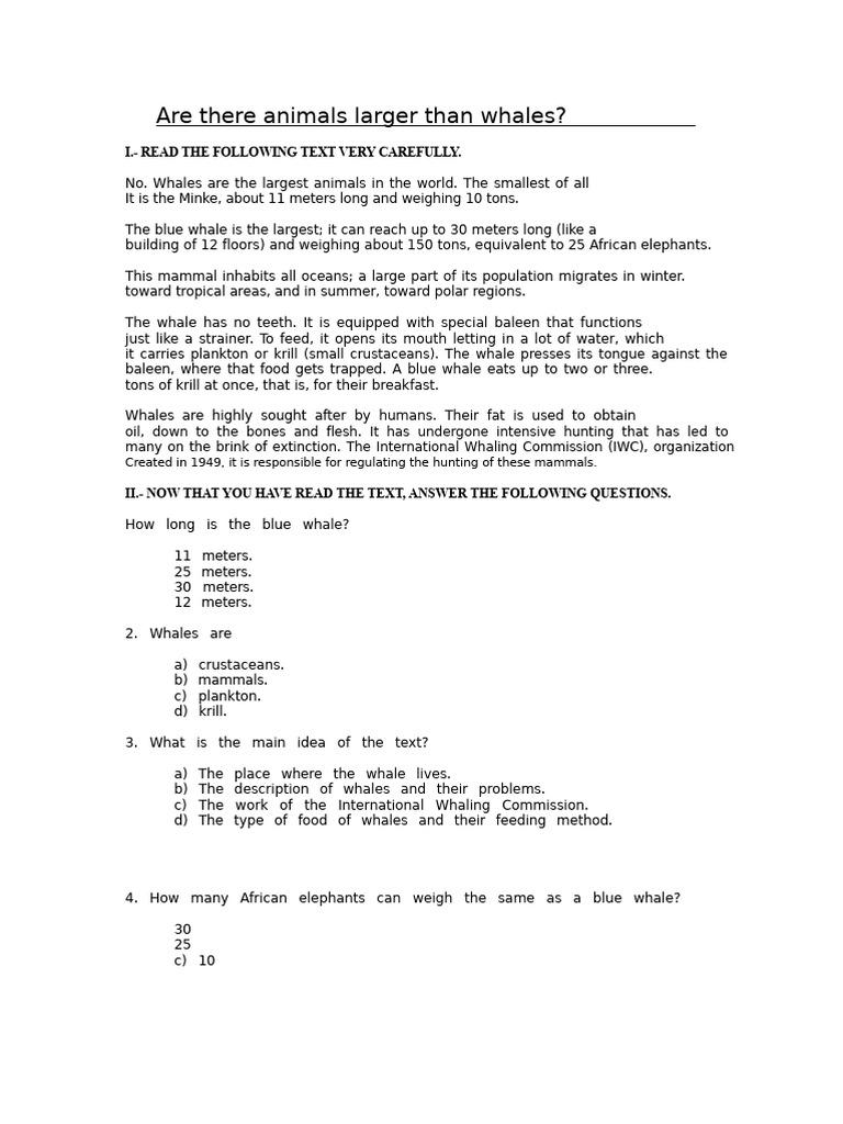 Comprehension Reading The Whales | PDF | Whales | Marine Mammals