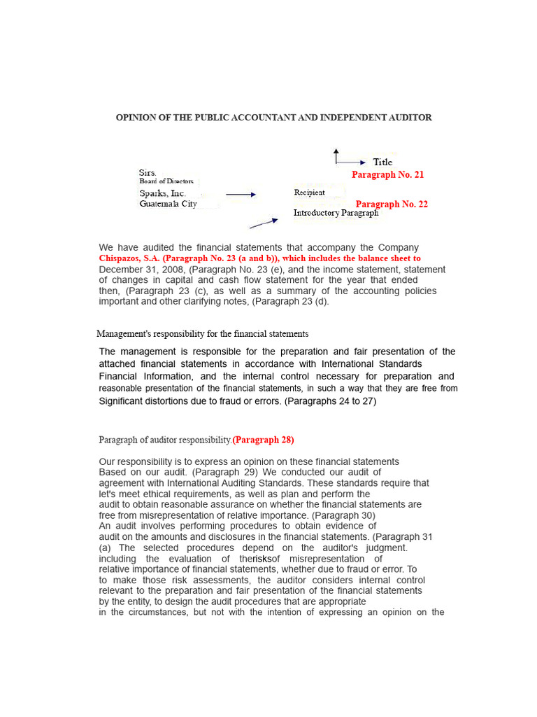 Report of The Independent Public Accountant and Auditor | PDF | Audit ...
