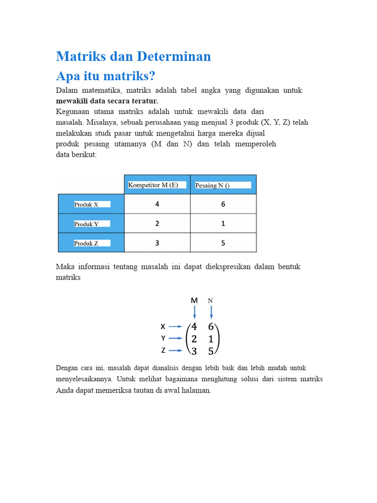 Matriks dan Determinan: Pengertian dan Sejarah | PDF