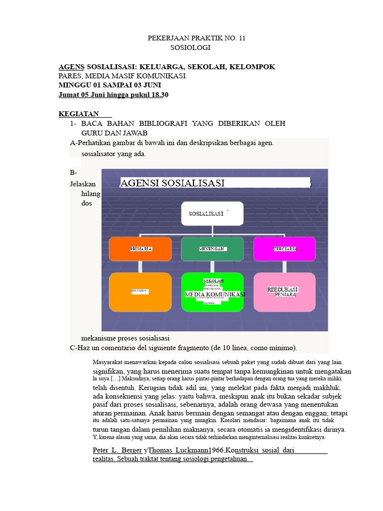 Peran Teman Sebaya dalam Sosialisasi | PDF