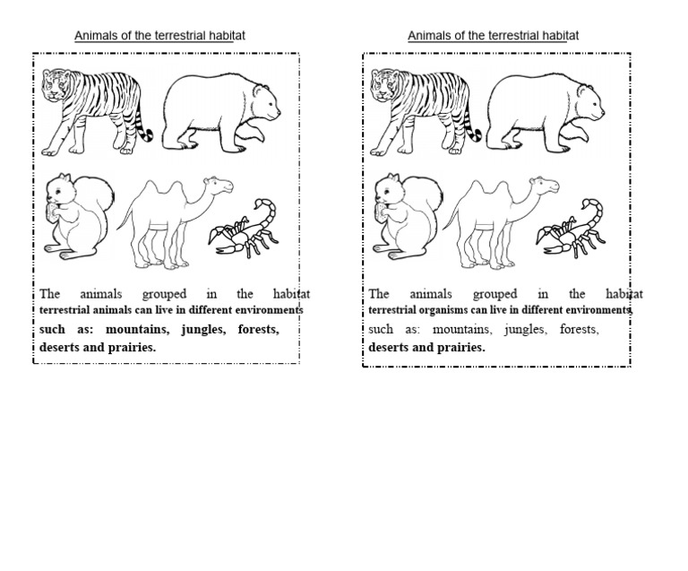 Terrestrial Habitat Animal Overview | PDF