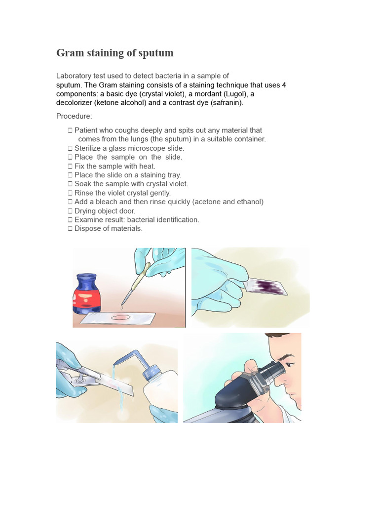 Gram Staining in Sputum | PDF