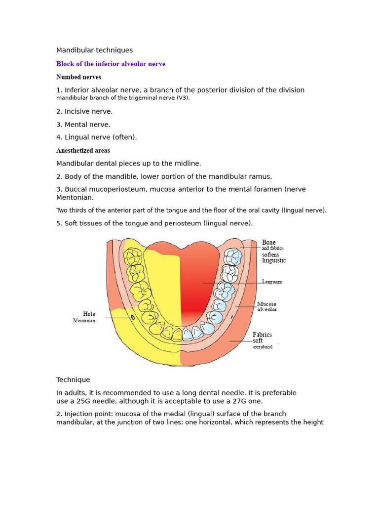 mandibular techniques (local anesthesia) | PDF | Human Head And Neck | Human Anatomy