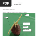 Function and Role of Plumule in Seeds | PDF | Seedling | Biology