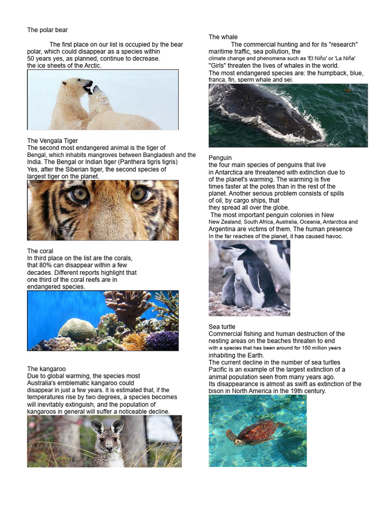 10 Animals in Danger of Extinction | PDF | Climate Change | Tiger