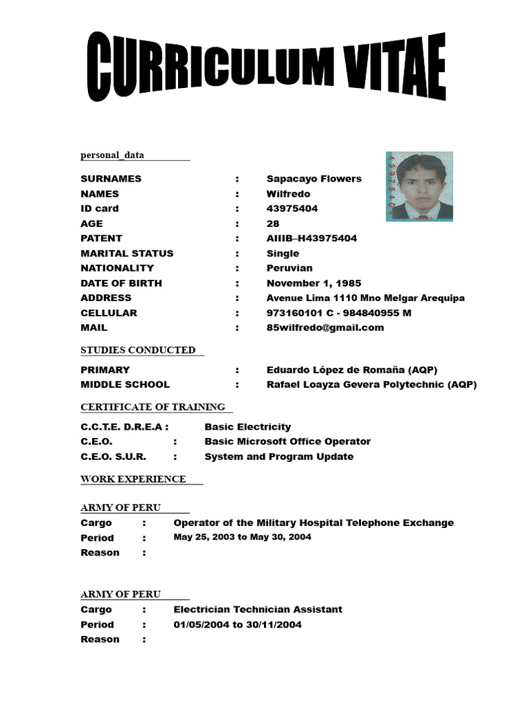 Personal Data and Work Experience Summary | PDF