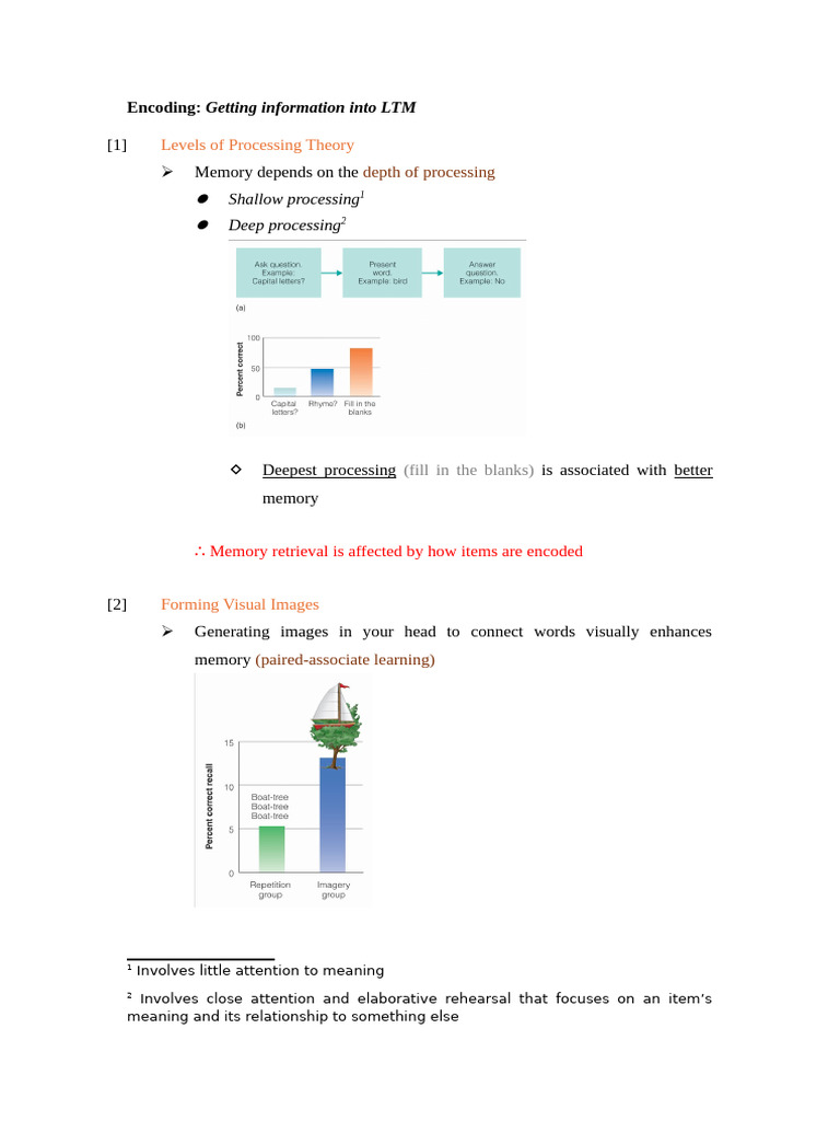LTM (Encoding, Retrieval, Consolidation) - Rvs | PDF | Memory | Recall ...