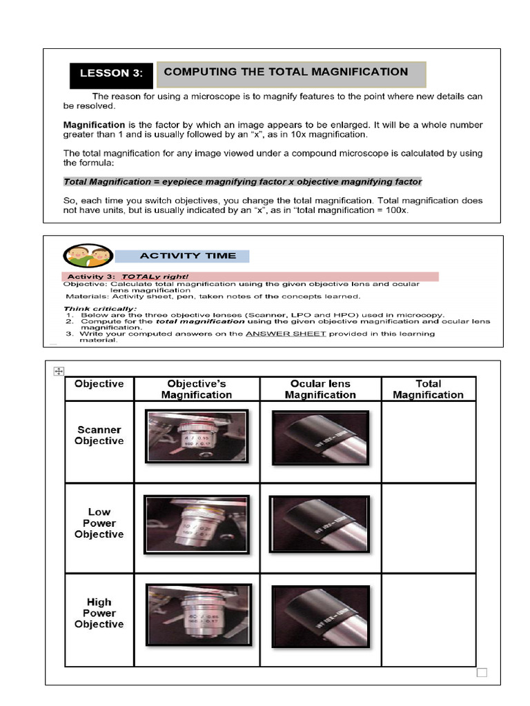 Act Sheet On Magnification | PDF