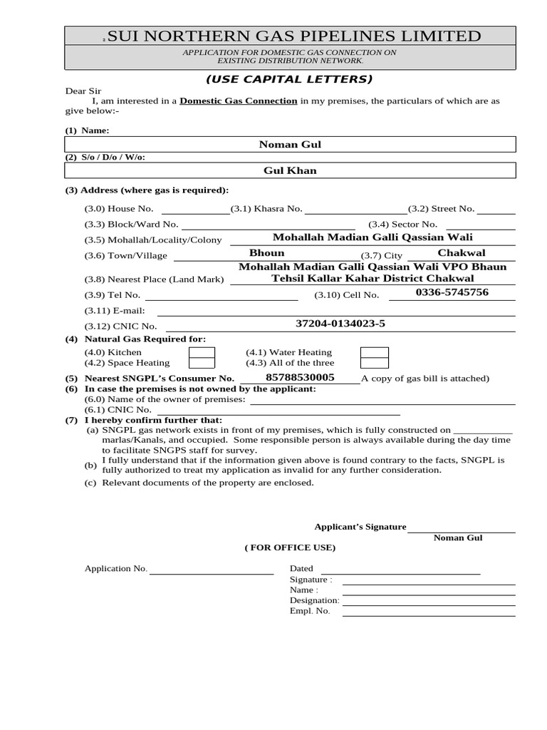 Domestic Gas Connection Application Form | PDF | Affidavit