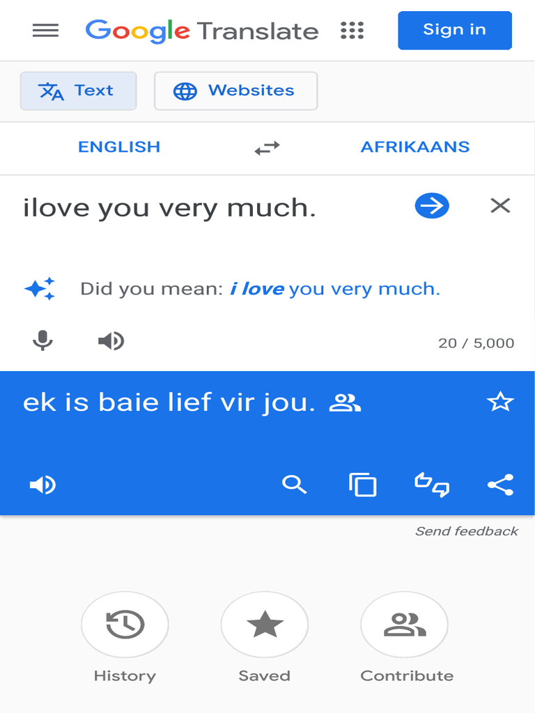 Google Translate | PDF