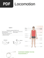 Plateaux Jeu-numeration Pirates | PDF