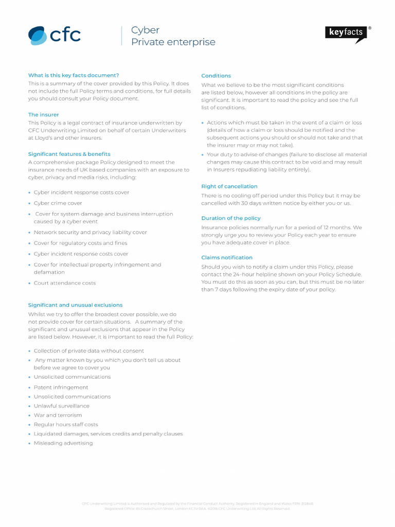 Cyber Private Enterprise Key Facts | PDF