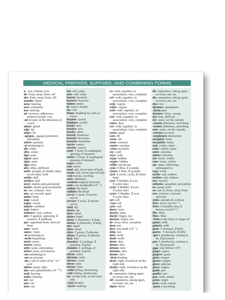Medical Prefixes, Suffixes, and Combining Forms | PDF