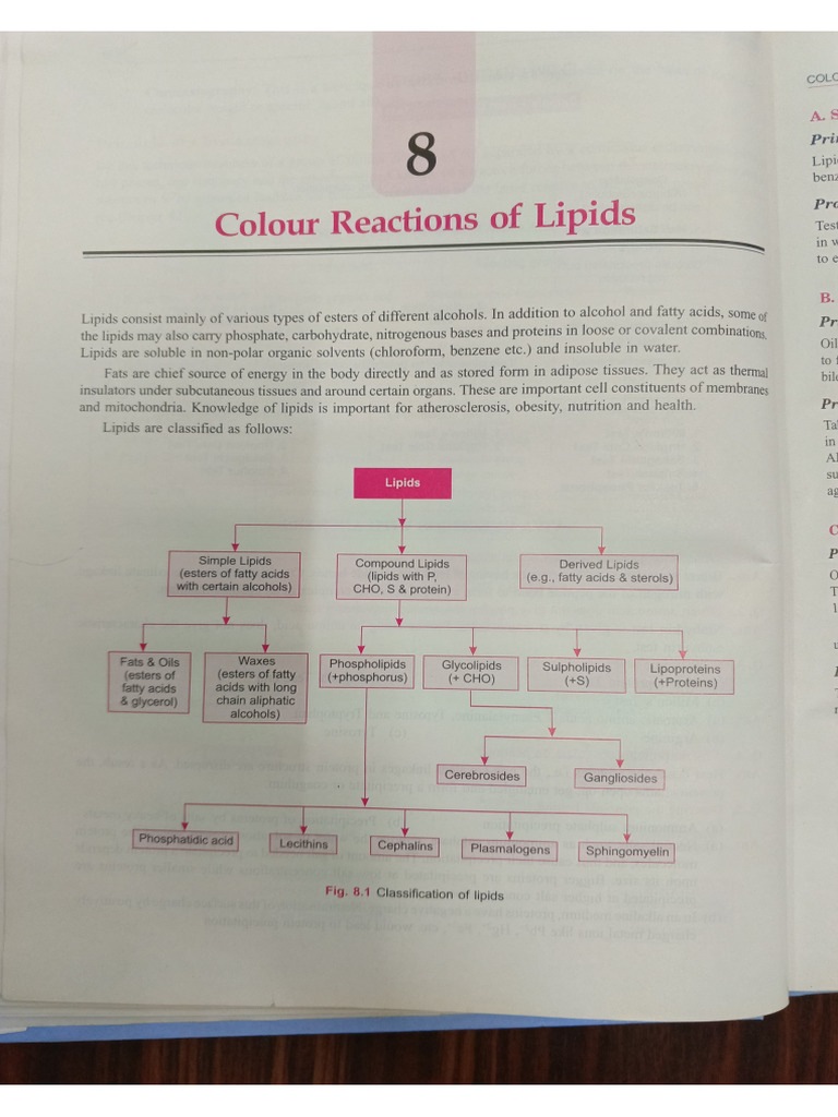 Lipids (Dsc Zoology-3) | PDF