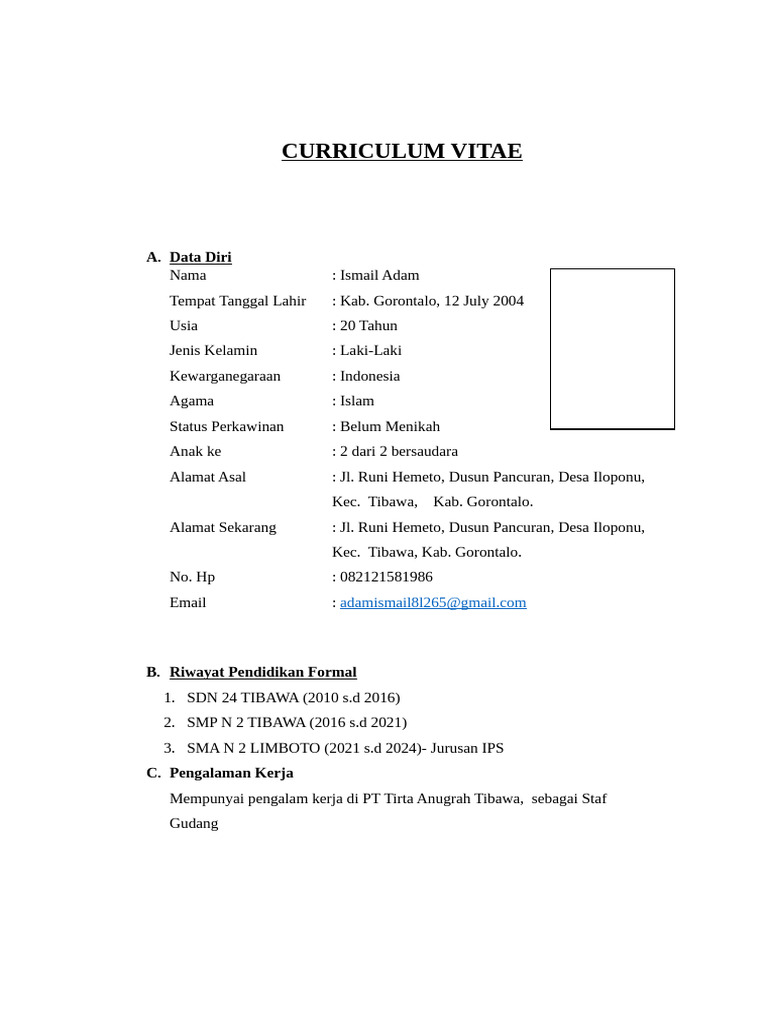 CV Ismail Adam | PDF