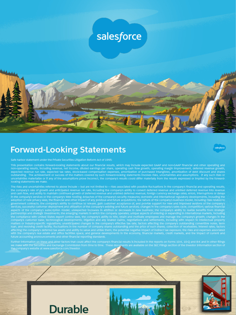 Salesforce DF17 Final Website | PDF | Revenue | Taxes