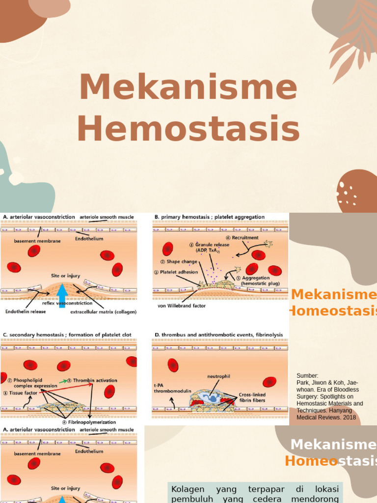 Proses Hemostasis | PDF