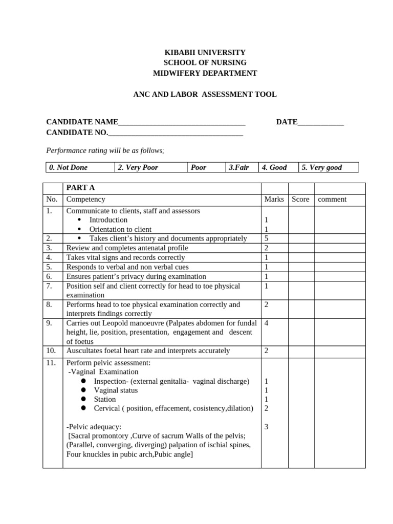 ANC and Labor Assessment Tool Guide | PDF | Childbirth | Postpartum Period