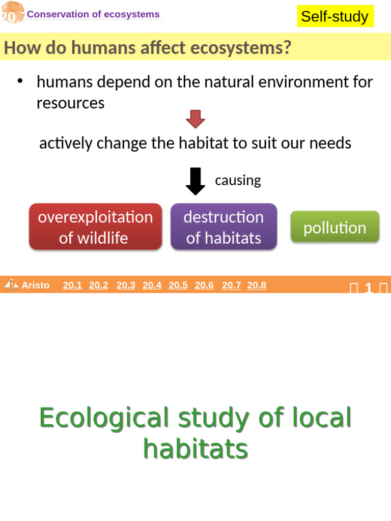 Ecosystems 3 - Ecological Study Techniques | PDF | Ecology | Sampling ...