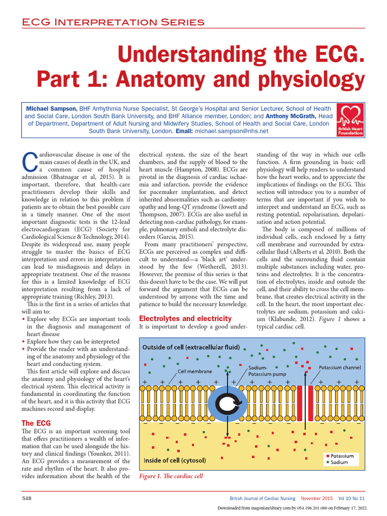 Understanding the ECG Part 1 Anatomy And | PDF | Heart | Electrocardiography