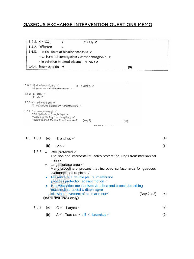 Gaseous Exchange Intervention Questions Memo | PDF