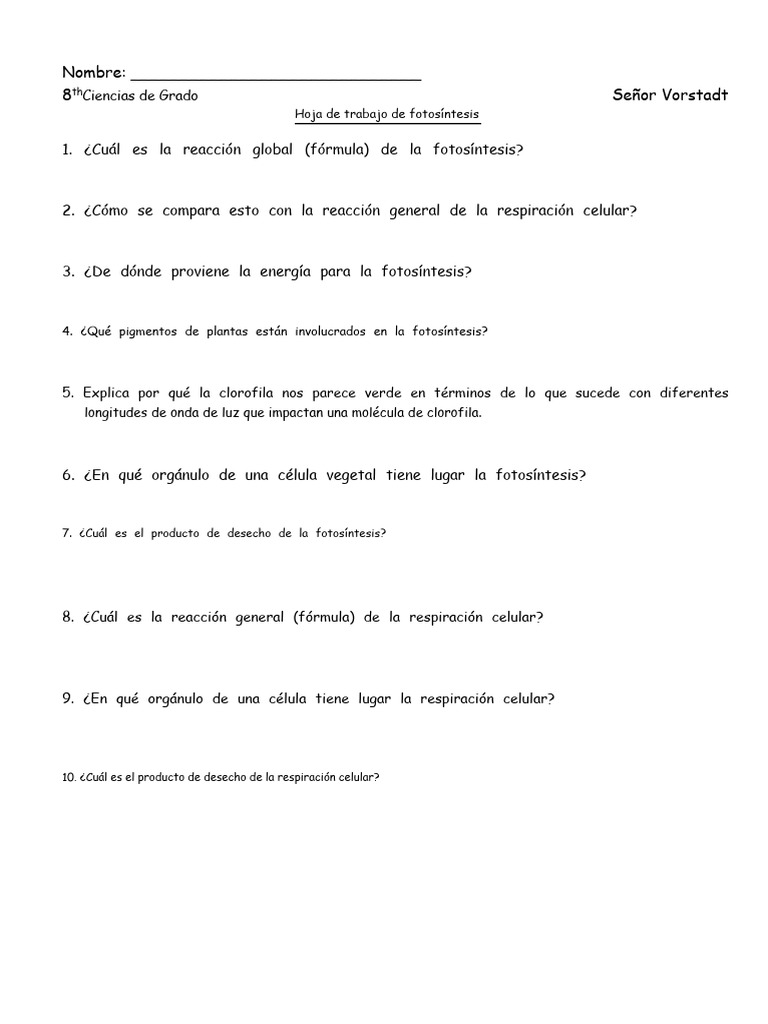 Hoja de Trabajo Sobre La Fotosíntesis | PDF | Fotosíntesis ...