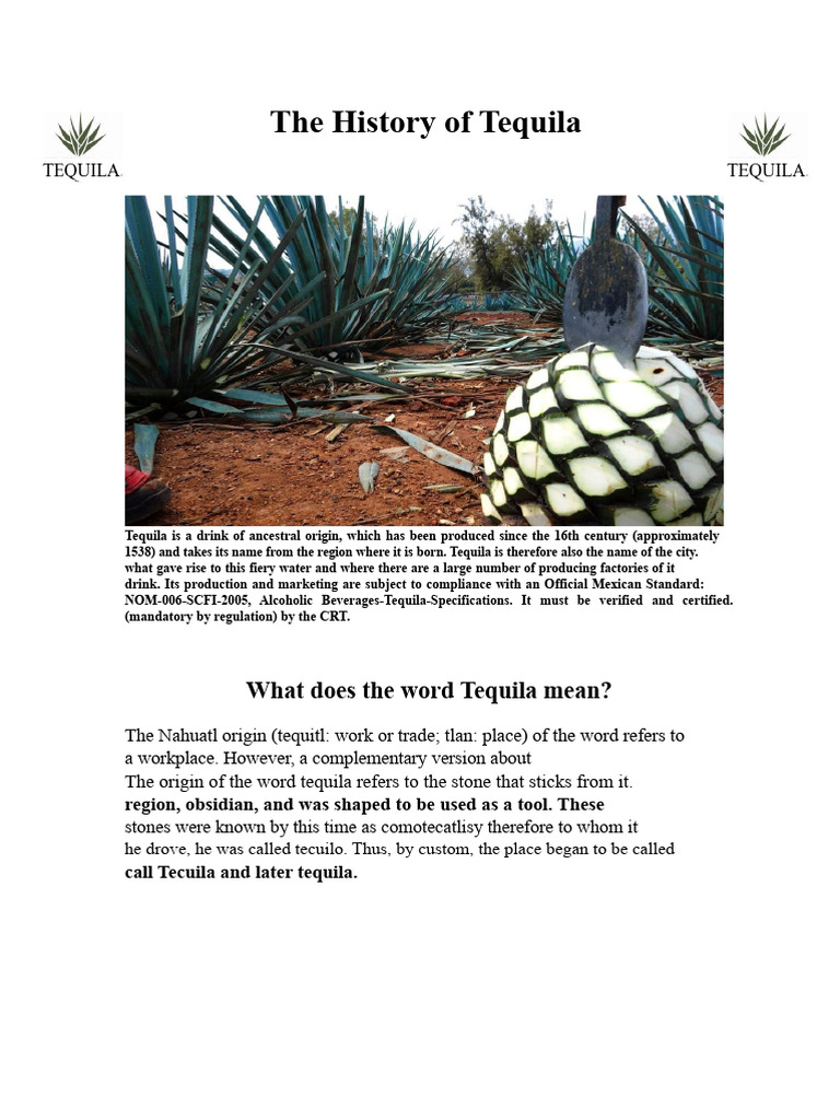 history of tequila (1) | PDF | Fermented Drinks | Alcoholic Drinks