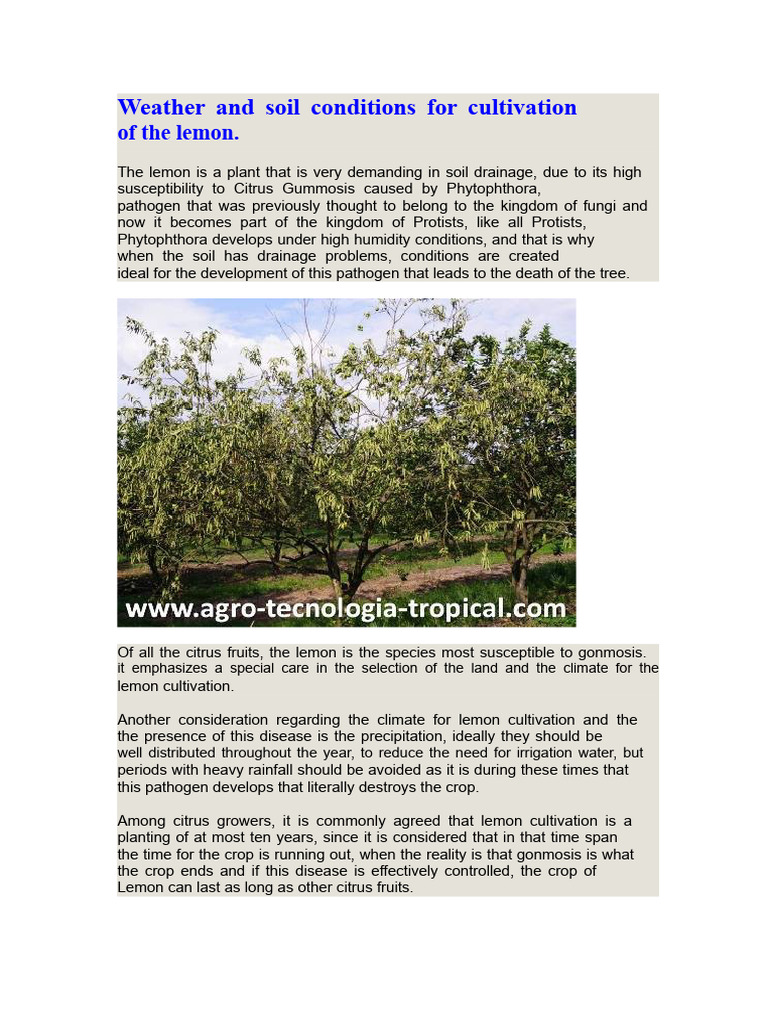 Climate and Soil Conditions For Lemon Cultivation | PDF | Plant ...