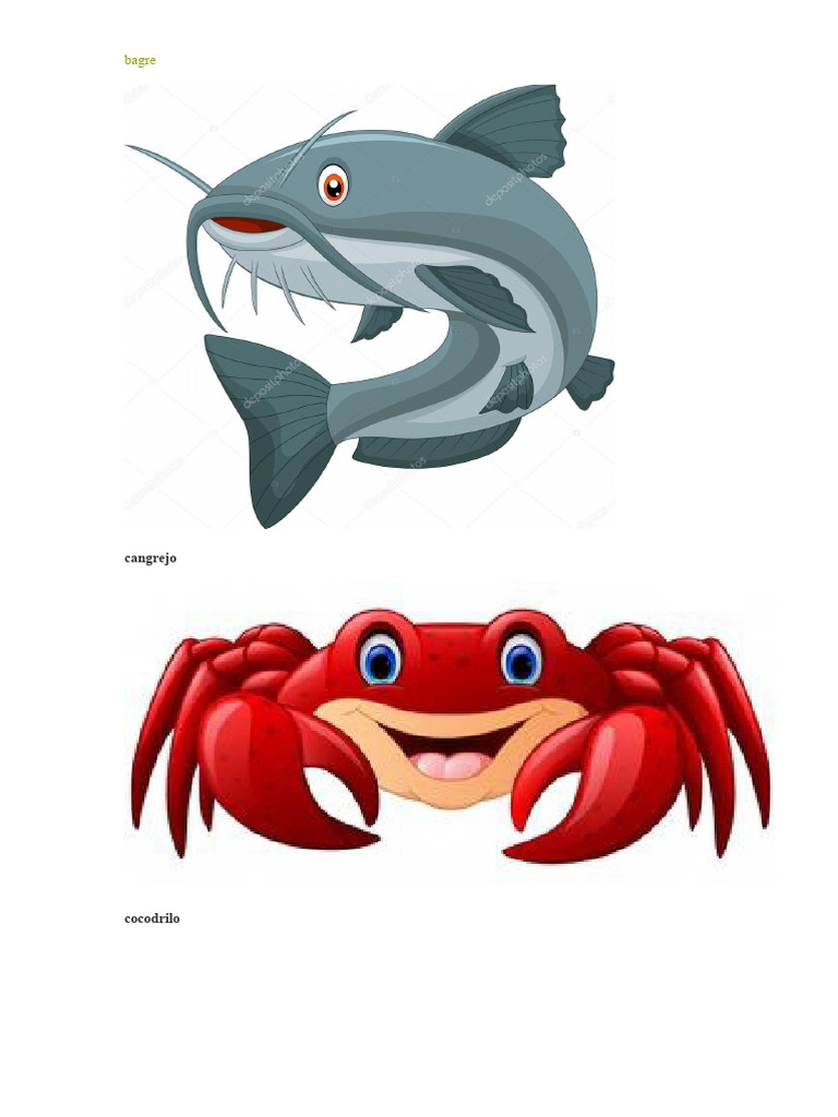 Aquatic Animals | PDF