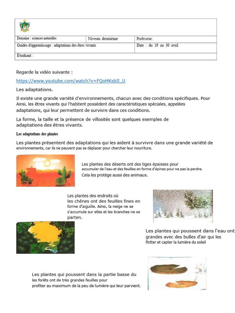 Adaptations des êtres vivants en nature | PDF | Plantes | Feuille