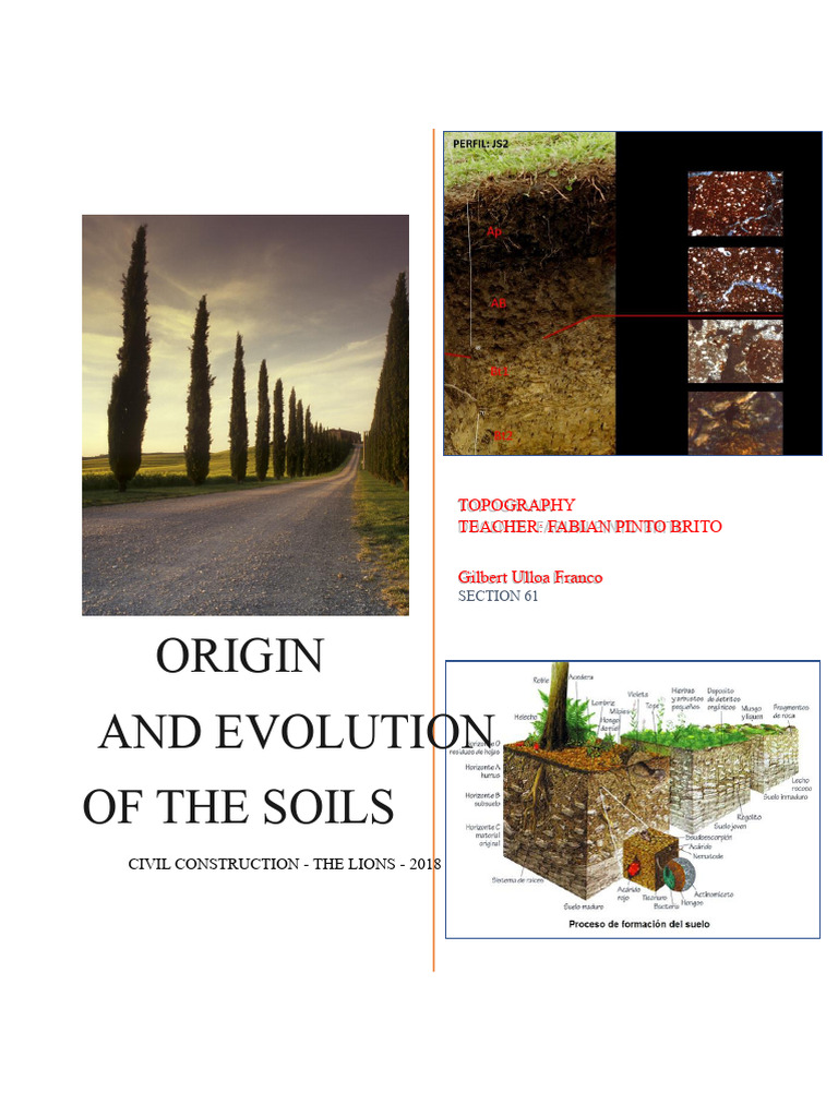 Origin and Evolution of Soils | PDF | Soil | Soil Science