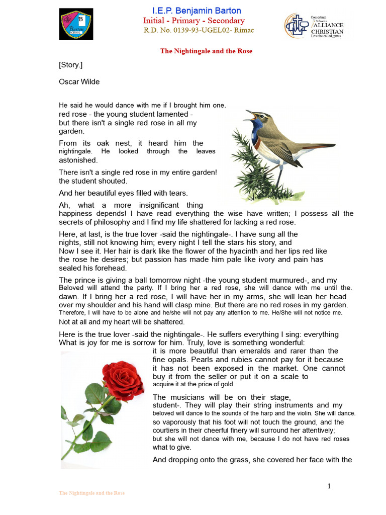 4S-The-Nightingale-and-the-Rose-Oscar-Wilde | PDF | Oscar Wilde