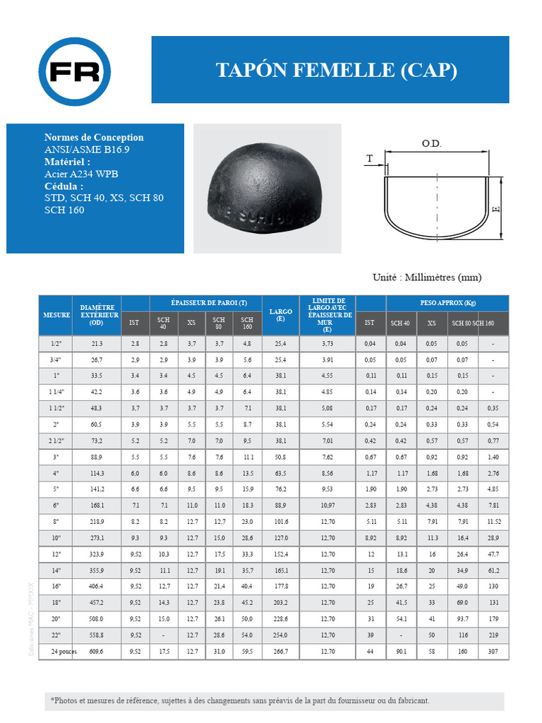 Tapón Femelle (Cap) : ANSI/ASME B16.9 Acier A234 WPB STD, SCH 40, XS ...